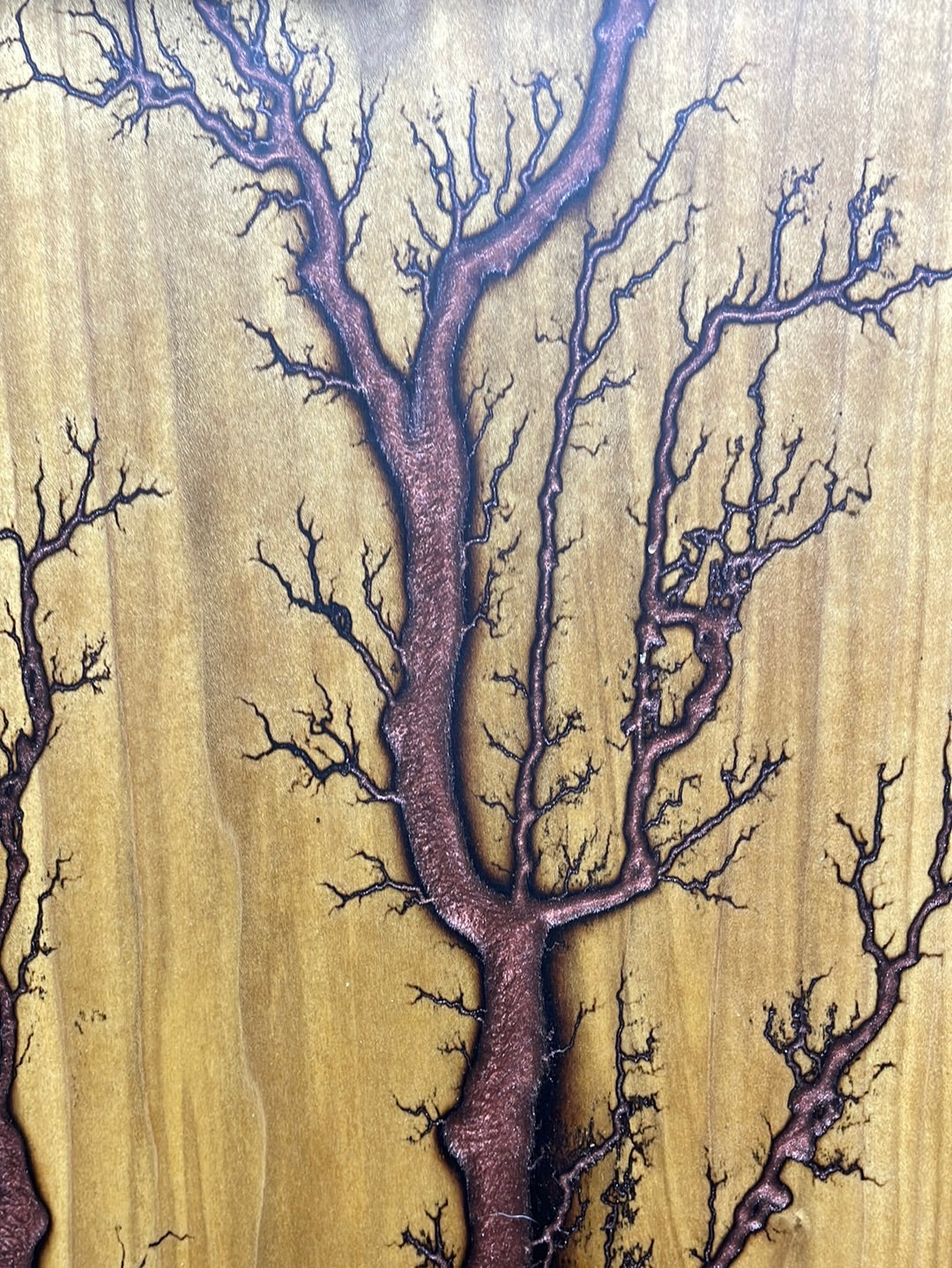 Poplar Copper Brown Fractal Burned Serving Tray #T01